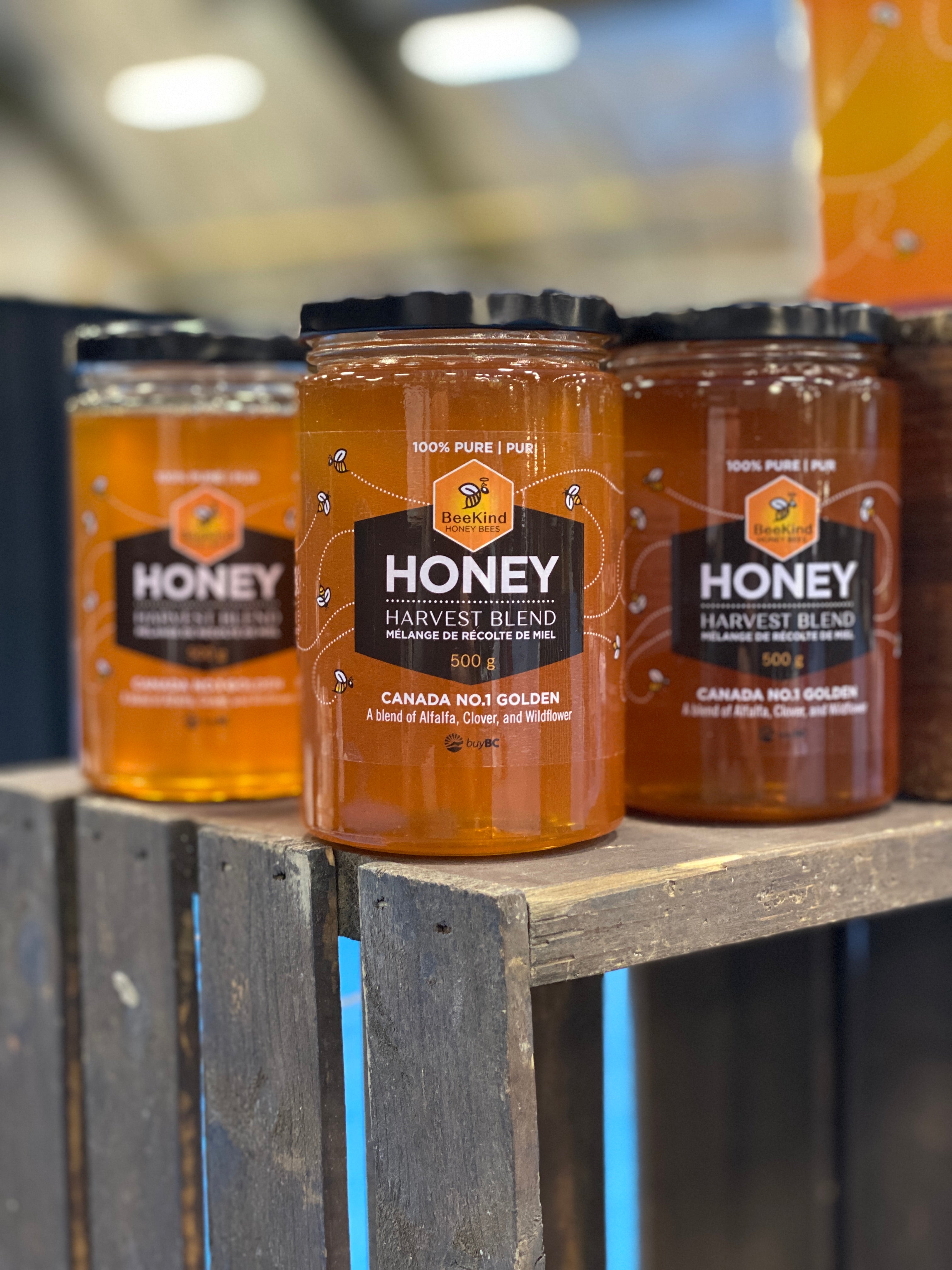 BeeKind Wholesale | Premium BC Raw Honey Supplier | Bulk Orders